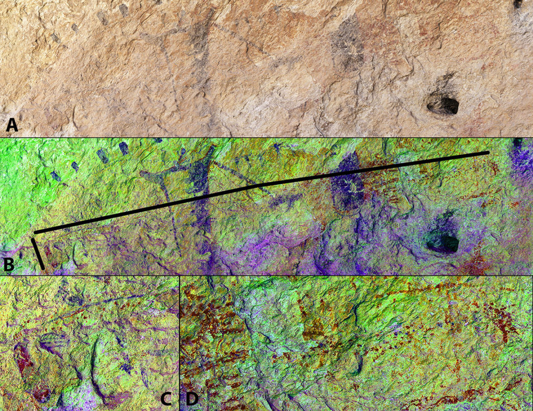 Atlatls in Lower Pecos Rock Art