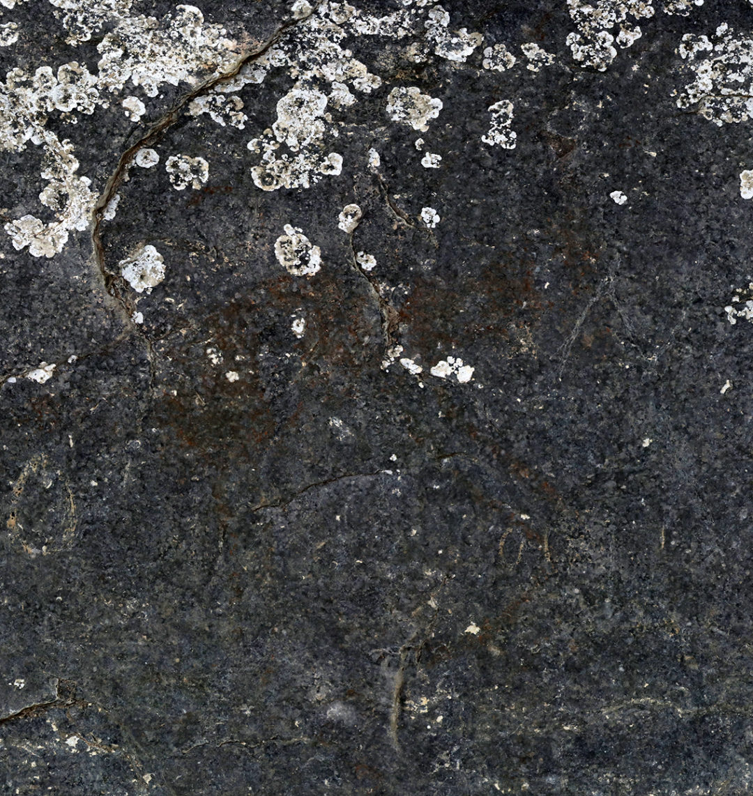 The long-legged zoomorph (Figure A) in real-color as documented in 2018 ...